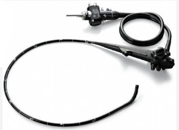 WormScope | Scientific Endoscopy Revolution